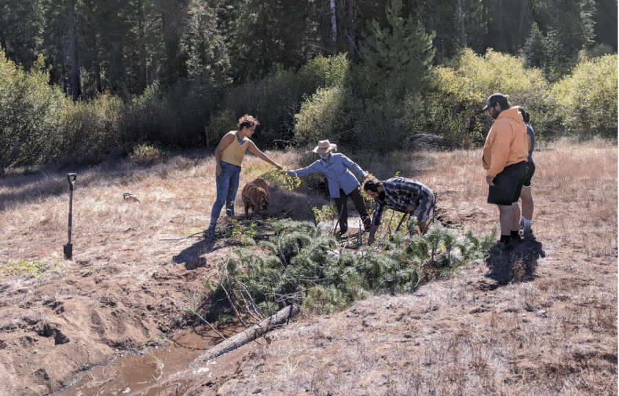 Restoration Collaboration with Maidu Summit Consortium - Occidental ...