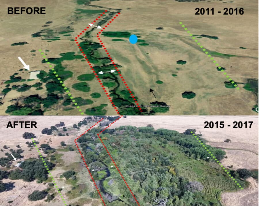 Field Trip to Doty Ravine - Occidental Arts & Ecology Center