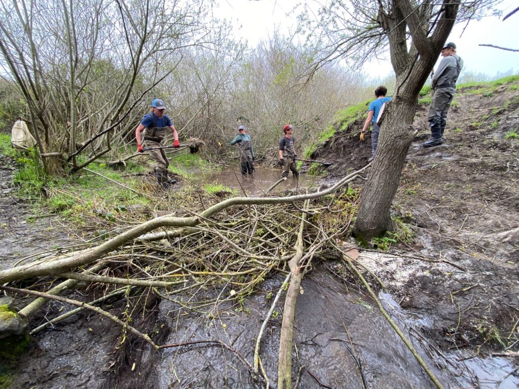 PBR Collaboration at Stemple Creek Ranch - Occidental Arts & Ecology Center