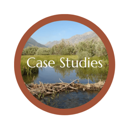 Beaver Restoration & CoExistence - Occidental Arts & Ecology Center
