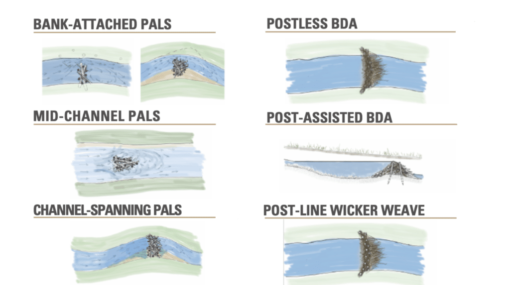 What Is Process-Based Restoration? - Occidental Arts & Ecology Center