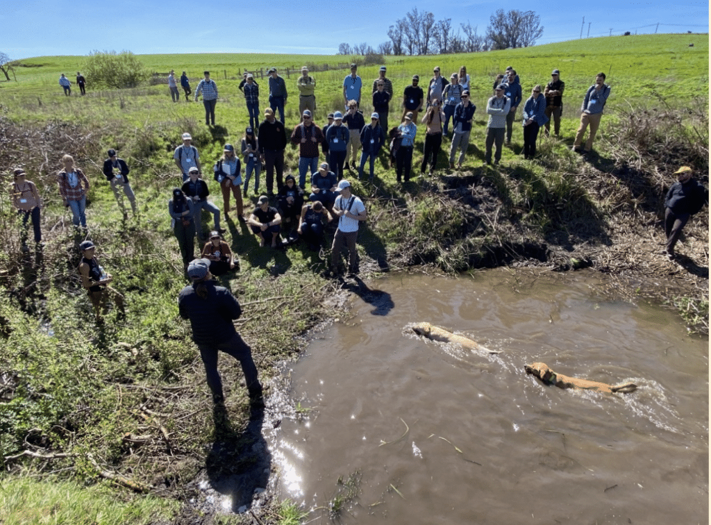 2024 Process-Based Restoration Year In Review - Occidental Arts ...