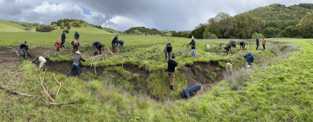 What Is Process-Based Restoration? - Occidental Arts & Ecology Center