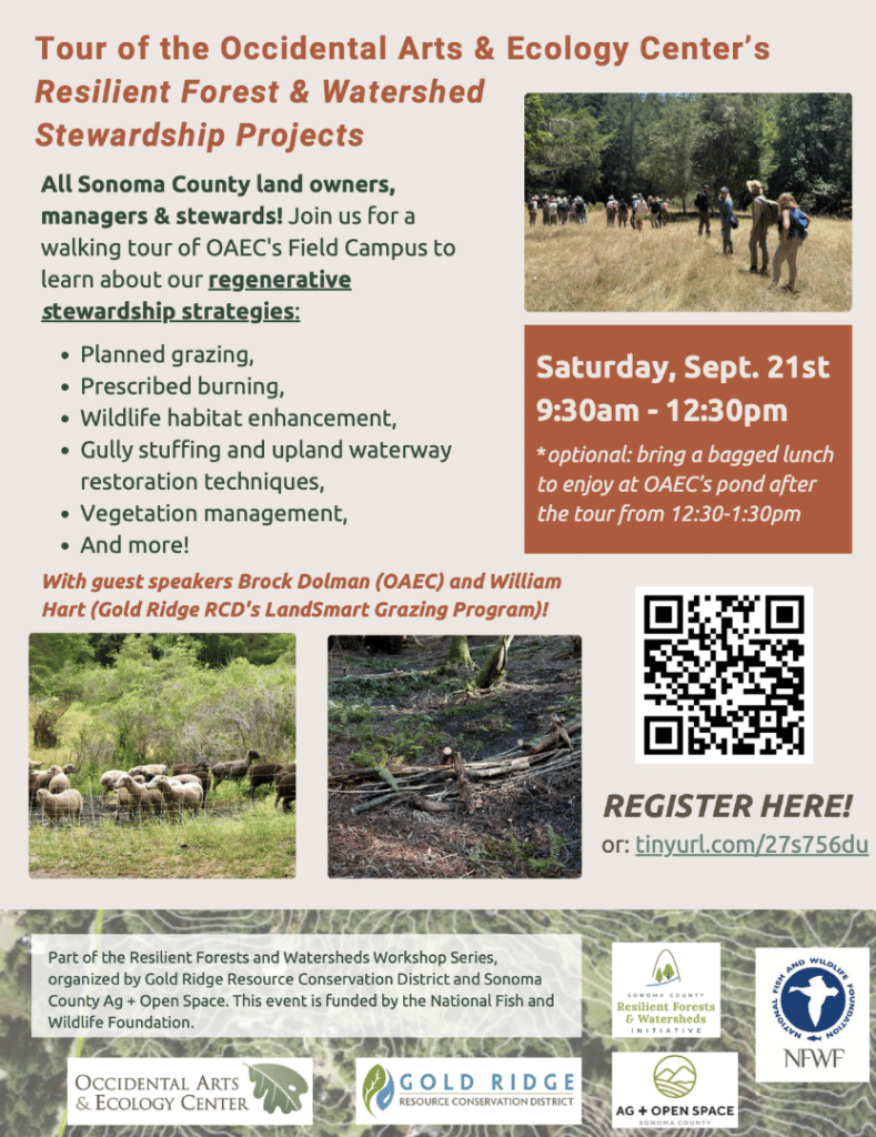 2024 Process-Based Restoration Year In Review - Occidental Arts ...