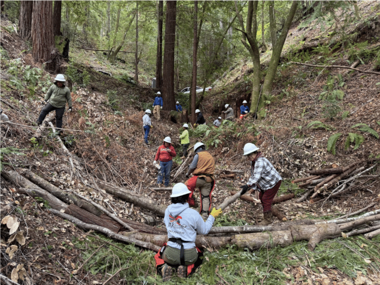Gully Stuffing Technique - Occidental Arts & Ecology Center