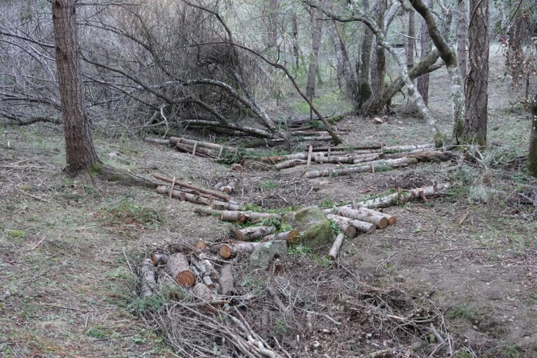 Gully Stuffing Technique - Occidental Arts & Ecology Center