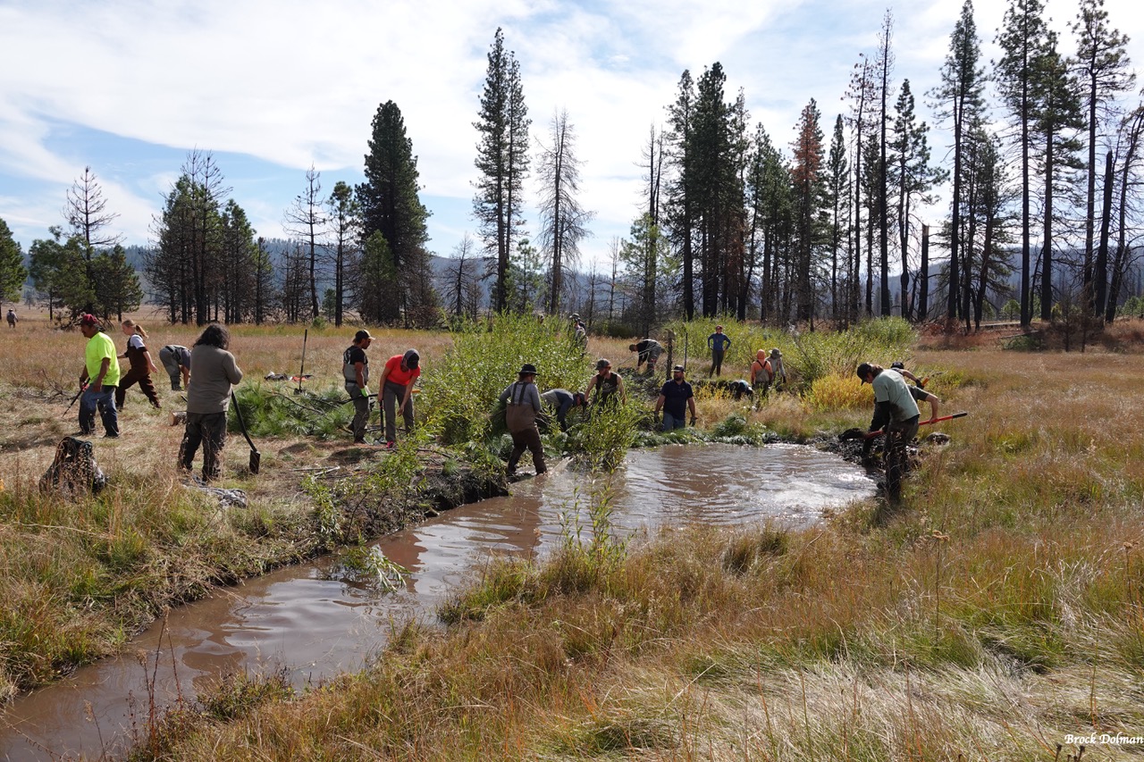 What Is Process-Based Restoration? - Occidental Arts & Ecology Center