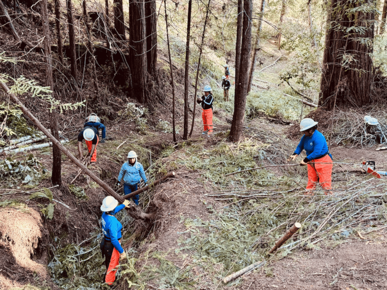 What Is Process-Based Restoration? - Occidental Arts & Ecology Center