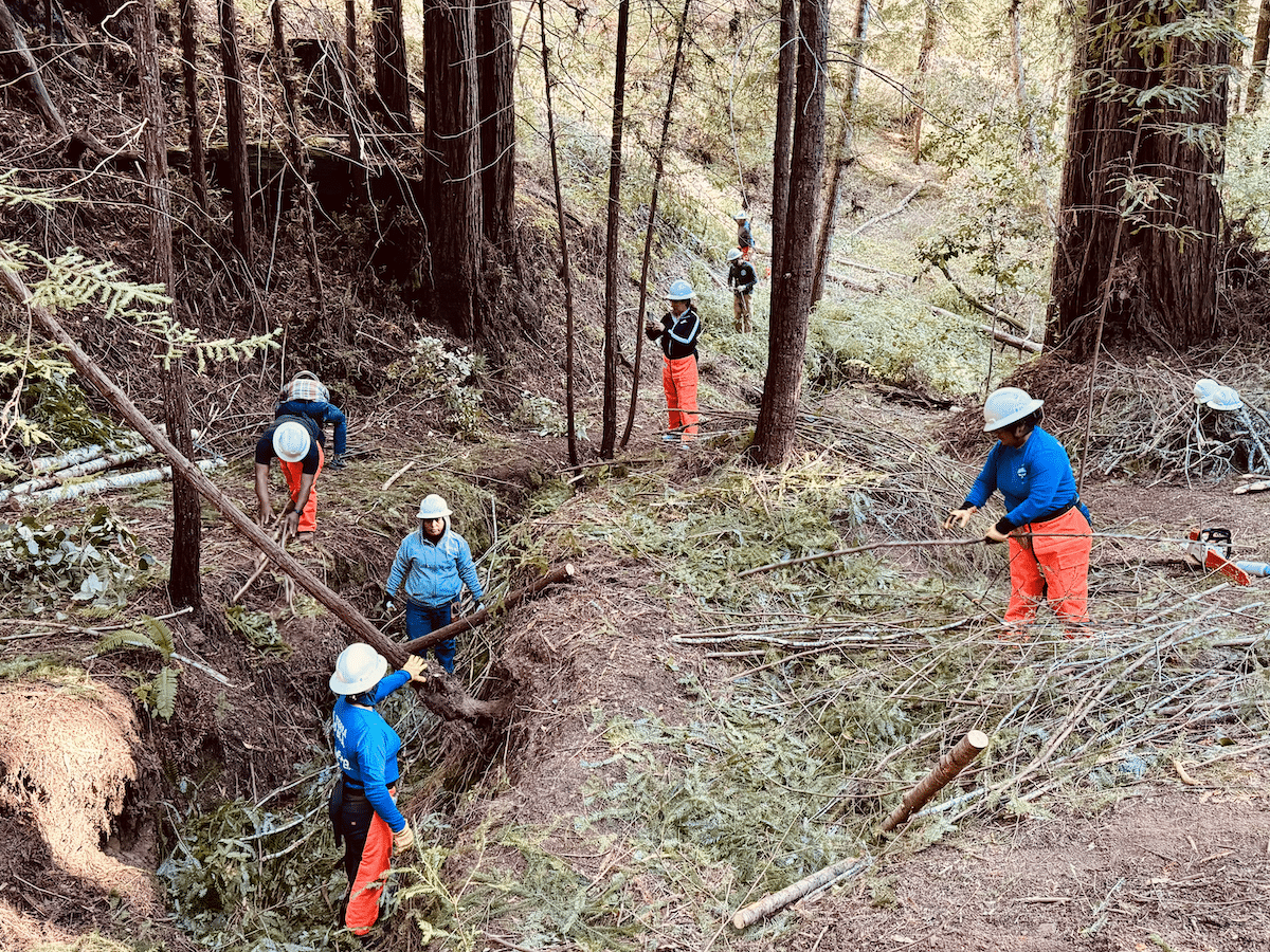 What Is Process-Based Restoration? - Occidental Arts & Ecology Center